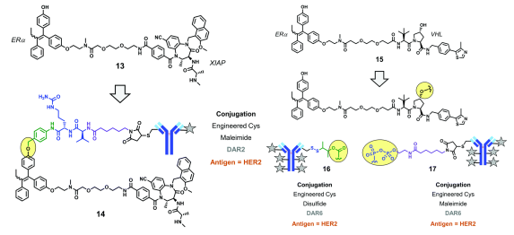 降解剂-抗体偶联物：概念通往实体的路途仍风险重重医药新闻-ByDrug-一站式医药资源共享中心-医药魔方