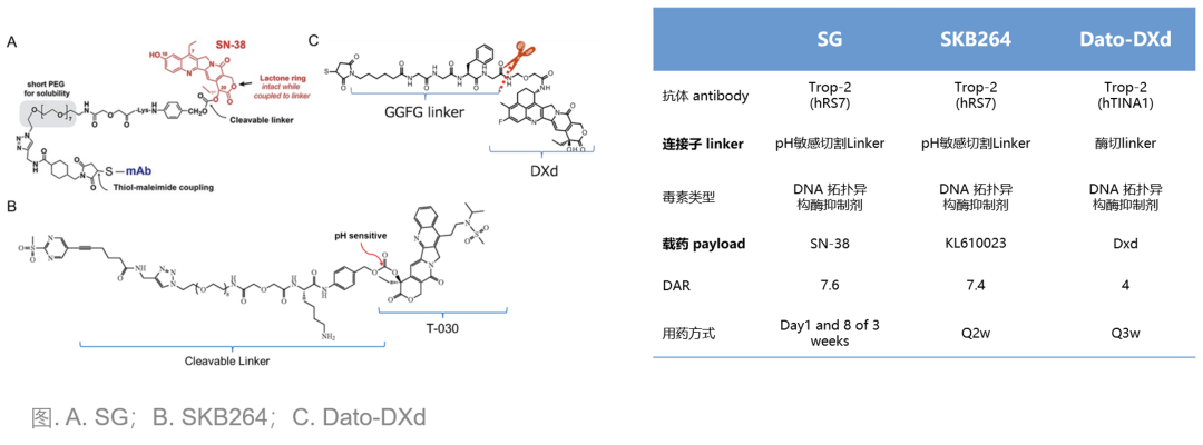 新型Trop-2 ADC Dato-DXd为乳腺癌患者治疗带来新希望医药新闻-ByDrug-一站式医药资源共享中心-医药魔方