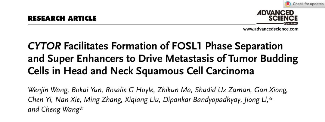 Adv Sci丨光华口腔医院团队揭示超级lncRNA CYTOR驱动HNSCC肿瘤出芽细胞转移的机制医药新闻-ByDrug-一站式医药资源共享 ...