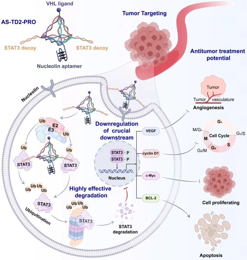 “四面体”PROTAC：大显身手医药新闻-ByDrug-一站式医药资源共享中心-医药魔方