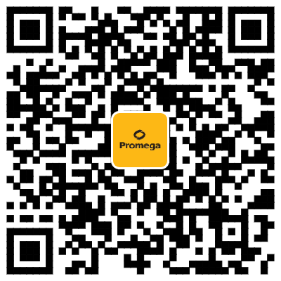 新品 | HiBiT活细胞靶向蛋白降解高效新利器！LgBiT mRNA递送系统医药新闻-ByDrug-一站式医药资源共享中心-医药魔方