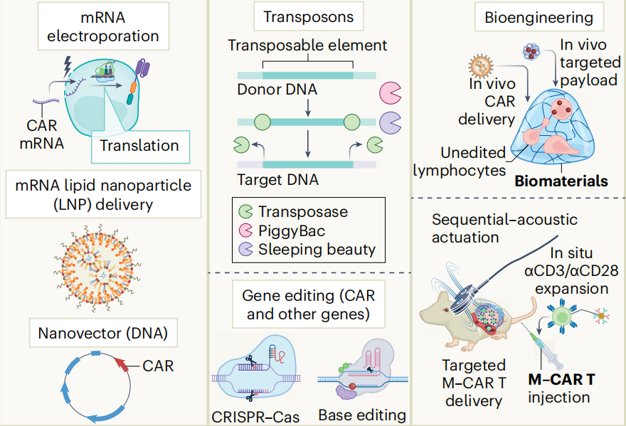 CAR-T和CAR-NK细胞疗法的岔路口医药新闻-ByDrug-一站式医药资源共享中心-医药魔方