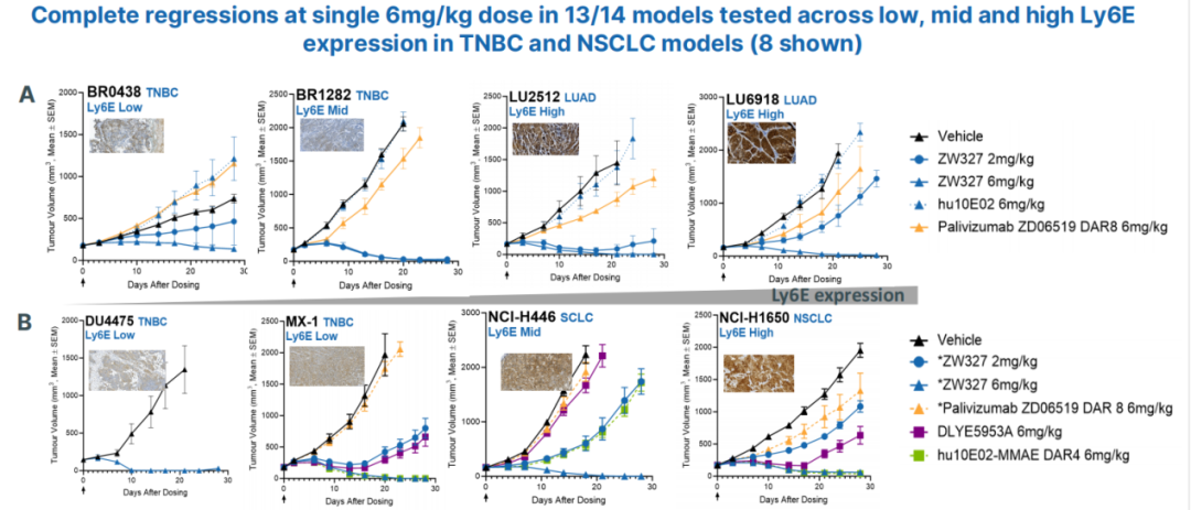 从被临床终止到ADC的待爆靶点，Ly6E能否成为下一个风口？医药新闻-ByDrug-一站式医药资源共享中心-医药魔方