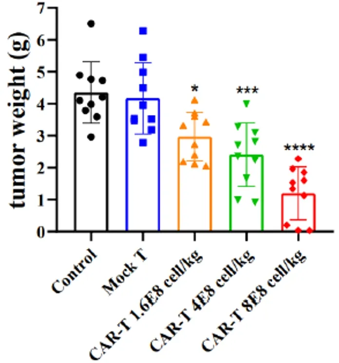 国内16款CGT疗法IND获批（2024年4月）医药新闻-ByDrug-一站式医药资源共享中心-医药魔方