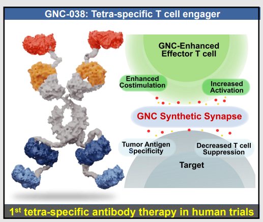百利药业：PD-L1/4-1BB/CD3/CD19四抗进军自免赛道 ，是否可行？医药新闻-ByDrug-一站式医药资源共享中心-医药魔方