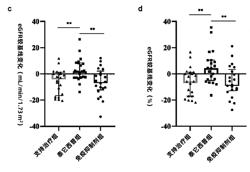 免疫双擎，致胜未来！泰它西普治疗IgA肾病最新研究数据亮相2024 ASN医药新闻-ByDrug-一站式医药资源共享中心-医药魔方