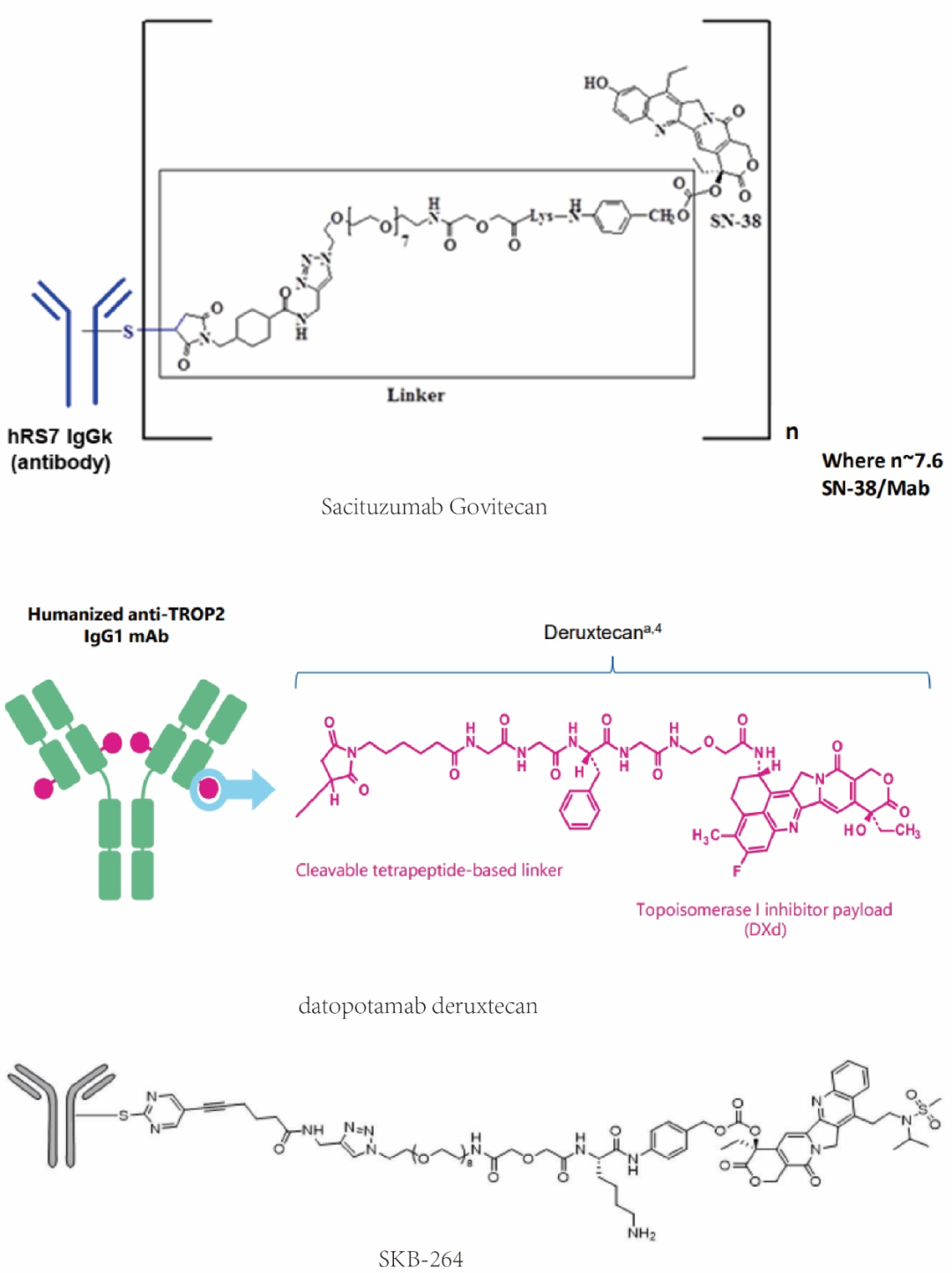 【速递】ADC+IO的3期试验达终点：Trodelvy+K药1L治疗TNBC医药新闻-ByDrug-一站式医药资源共享中心-医药魔方