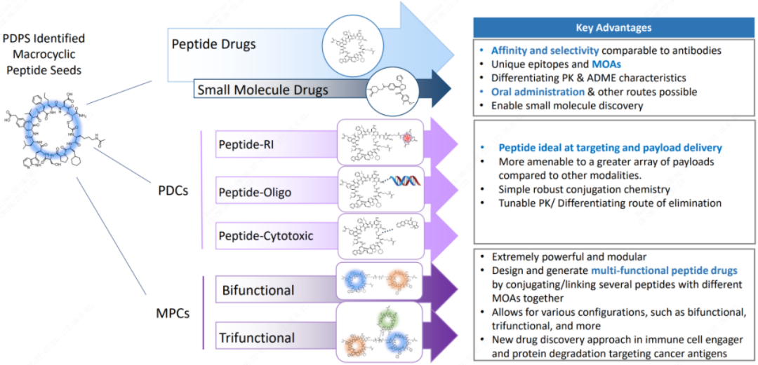 PRC两年交易总额超200亿美元！核素递送引爆多肽研发下一站医药新闻-ByDrug-一站式医药资源共享中心-医药魔方