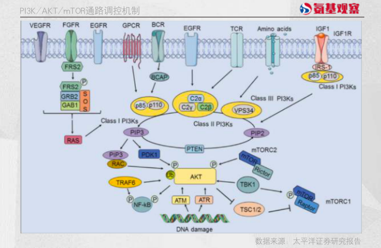 乳腺癌治疗跑出了“黑马”医药新闻-ByDrug-一站式医药资源共享中心-医药魔方