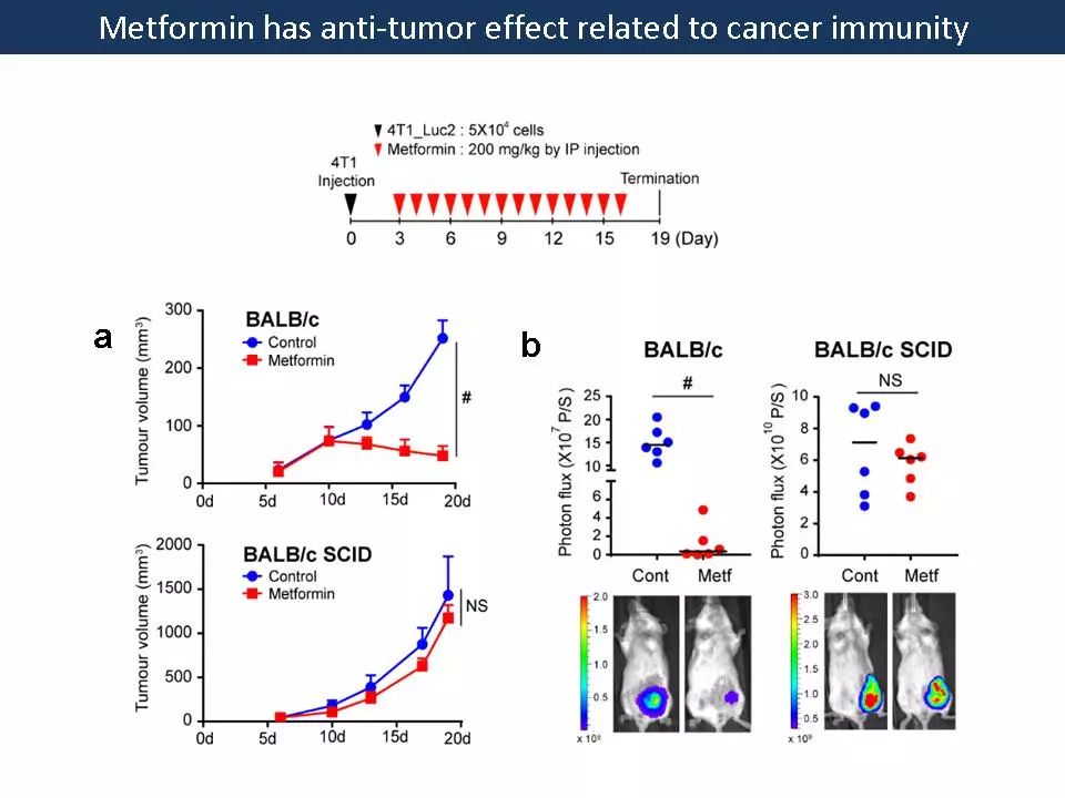 洪明奇：乳腺癌新靶点探索医药新闻-ByDrug-一站式医药资源共享中心-医药魔方