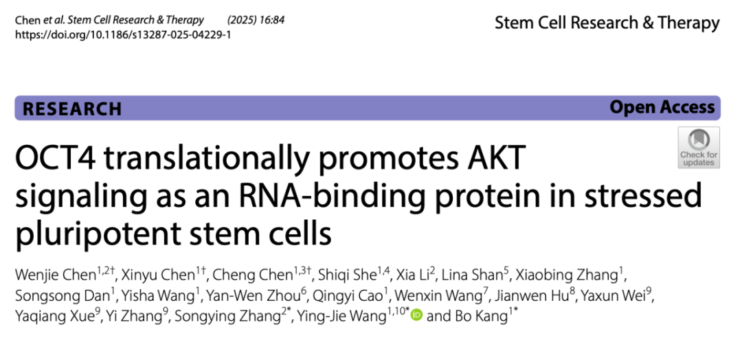 突破经典范式：浙江大学王英杰/康博团队揭示OCT4可作为RNA结合蛋白，重塑对干细胞应激调控的认知医药新闻-ByDrug-一站式医药资源共享中心-医药魔方