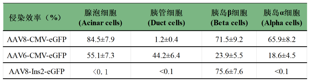 吉玛AAV研究指南-胰腺篇医药新闻-ByDrug-一站式医药资源共享中心-医药魔方