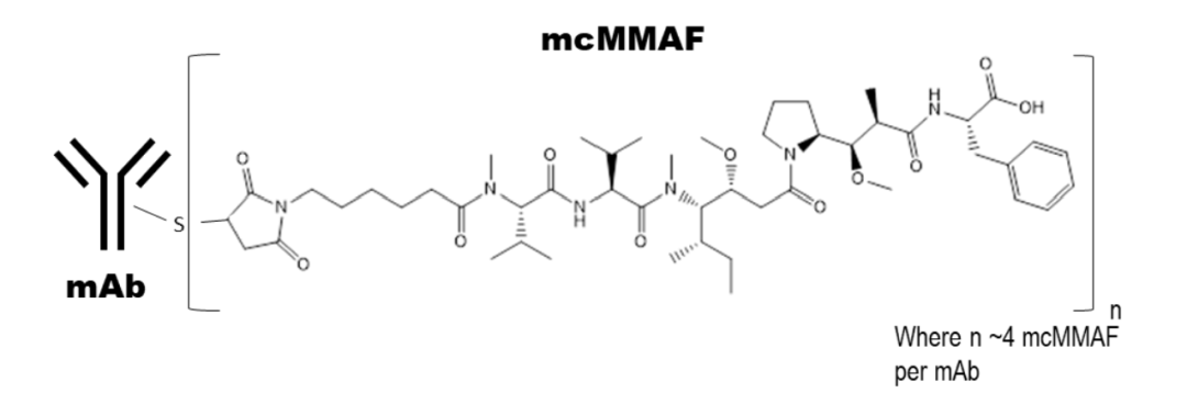 【速递】绝处逢生，GSK再获BCMA ADC III期临床成功医药新闻-ByDrug-一站式医药资源共享中心-医药魔方
