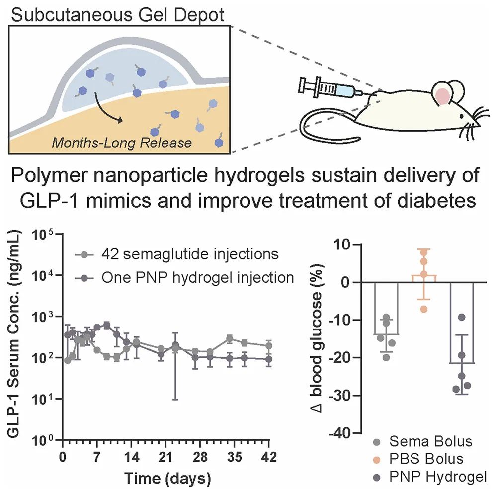 一年只需注射3次，升级版GLP-1药物要来了？医药新闻-ByDrug-一站式医药资源共享中心-医药魔方