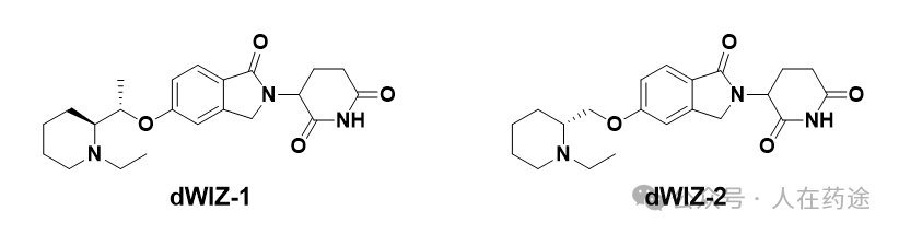 Science重磅！诺华、BMS皆看好的WIZ分子胶医药新闻-ByDrug-一站式医药资源共享中心-医药魔方
