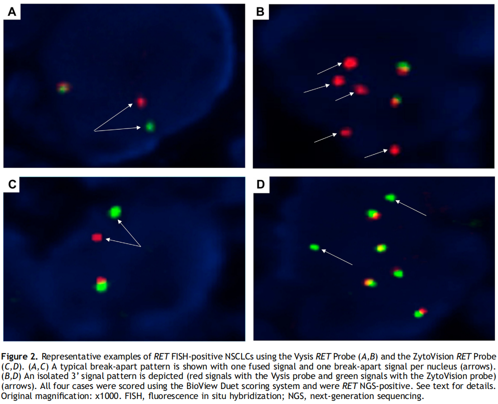 非小细胞肺癌RET融合检测平台如何选？基于RNA的NGS优于FISH和RT-PCR医药新闻-ByDrug-一站式医药资源共享中心-医药魔方
