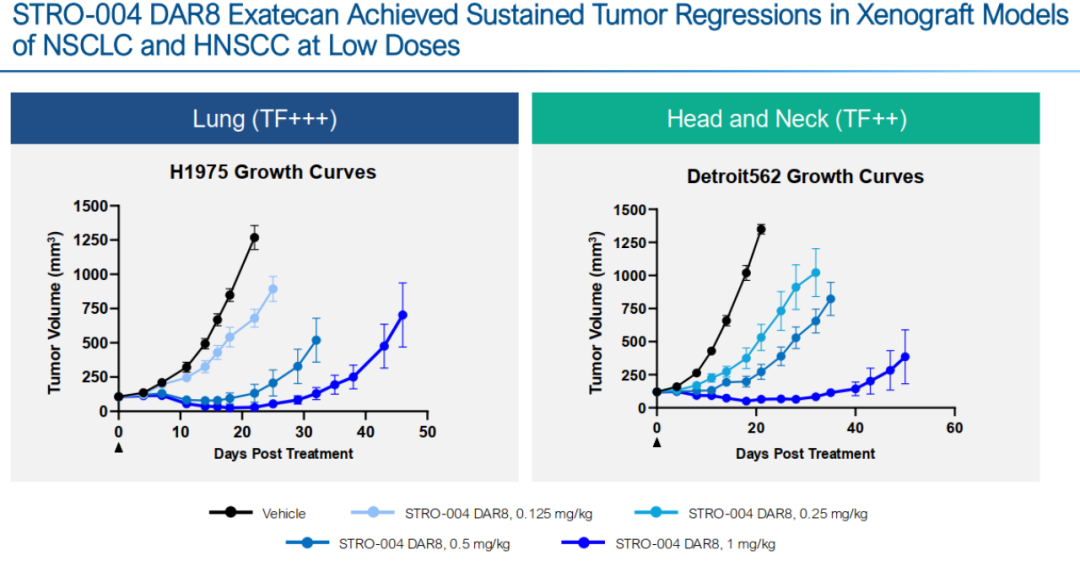 JPM上的ADC布局医药新闻-ByDrug-一站式医药资源共享中心-医药魔方