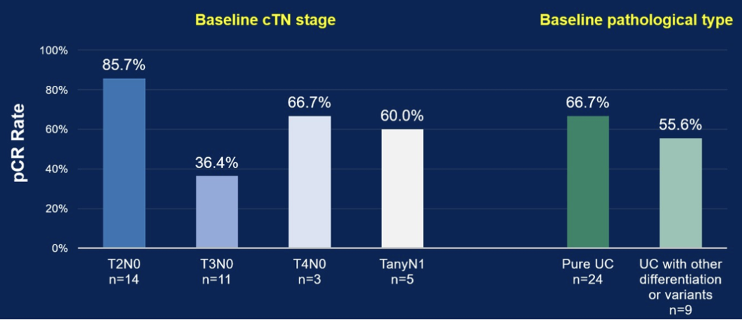 2025 ASCO GU｜pCR率高达63.6%！中国之声唱响世界，维迪西妥单抗引领MIBC新辅助治疗新纪元医药新闻-ByDrug-一站式医药资源共享中心-医药魔方