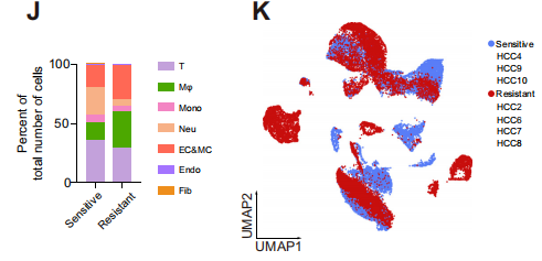 BD Rhapsody™ 助力肝癌顶刊｜IF 25.7发现中性粒细胞与肝细胞癌（HCC）的免疫治疗耐药相关医药新闻-ByDrug-一站式医药资源共享中心-医药魔方