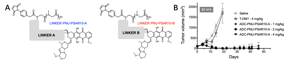Beyond PEGylation：聚肌氨酸(PSAR)在ADC领域的应用医药新闻-ByDrug-一站式医药资源共享中心-医药魔方