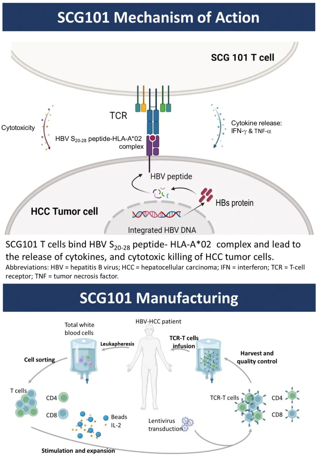 ASCO2023丨SCG101双管齐下，治疗晚期HBV-HCC显示出抗肿瘤和抗病毒活性医药新闻-ByDrug-一站式医药资源共享中心-医药魔方
