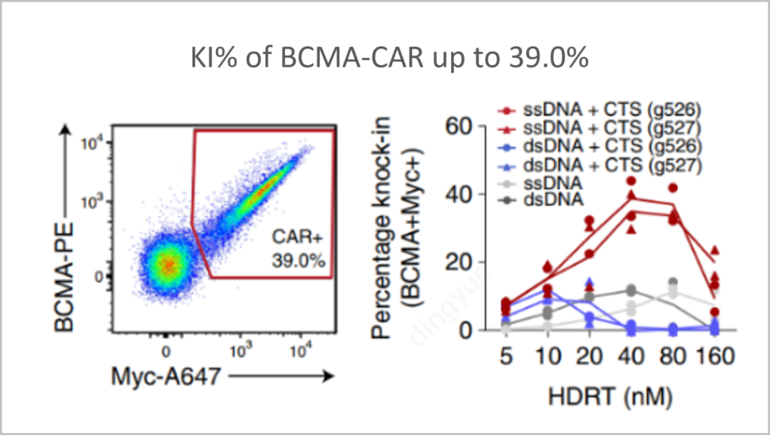 金斯瑞ssDNA获发明专利授权！更高敲入效率支持T/NK/iPSC细胞疗法开发，限时6折医药新闻-ByDrug-一站式医药资源共享中心-医药魔方