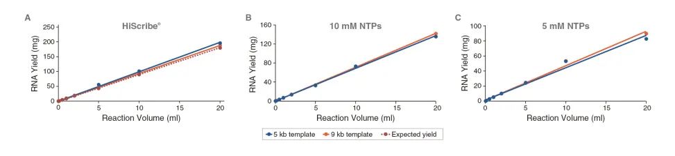 引领高效 RNA 合成：NEB 发布规模化 IVT 技术参考指南医药新闻-ByDrug-一站式医药资源共享中心-医药魔方