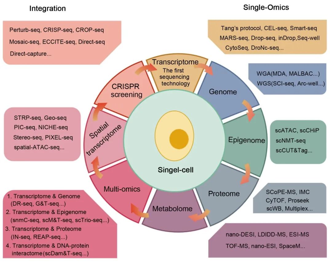 19位顶尖学者综述，单细胞组学技术引领生物医学研究新纪元！医药新闻-ByDrug-一站式医药资源共享中心-医药魔方