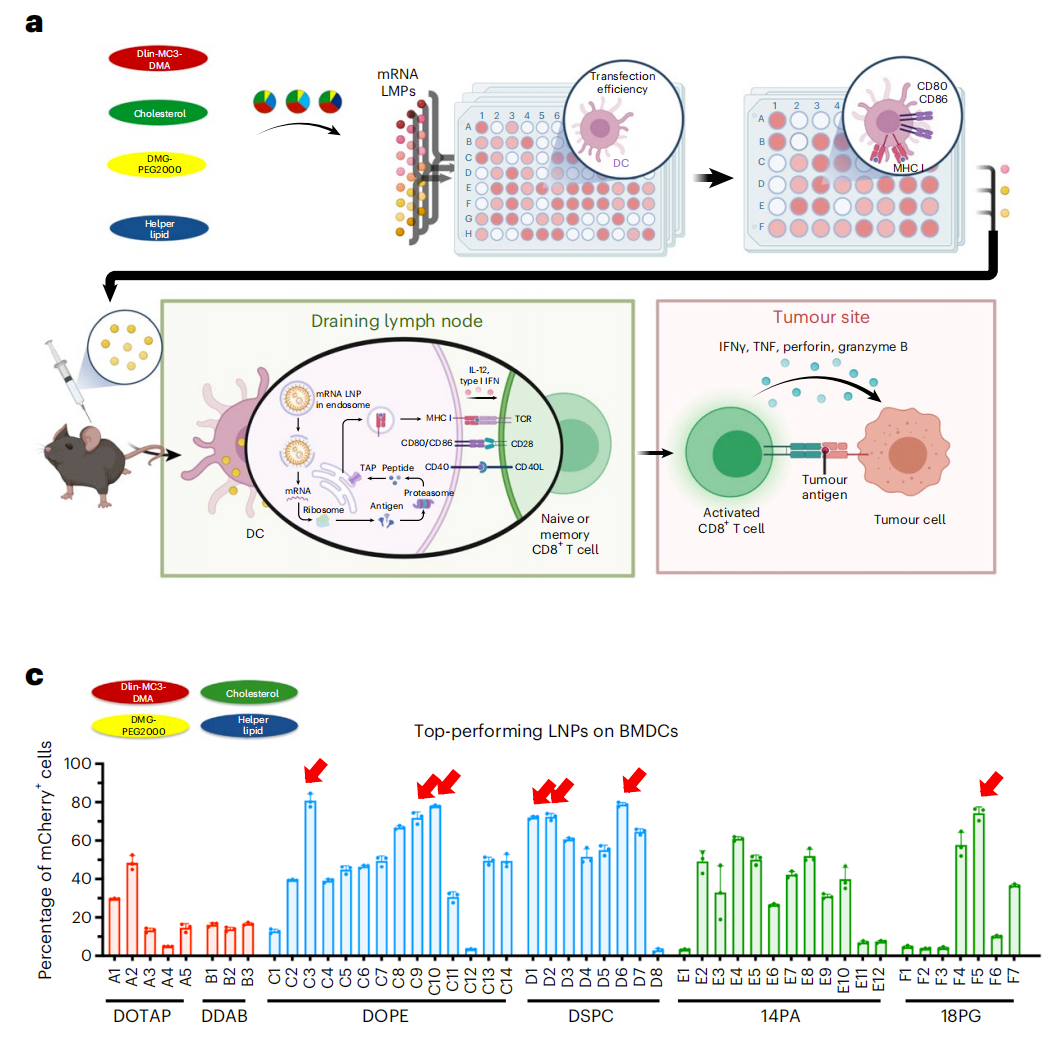 Nature子刊：毛海泉团队筛选到增强抗肿瘤活性的新型LNP医药新闻-ByDrug-一站式医药资源共享中心-医药魔方