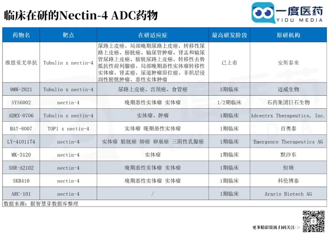全球第一！迈威生物宣布Nectin-4 ADC治疗宫颈癌2期积极结果医药新闻-ByDrug-一站式医药资源共享中心-医药魔方