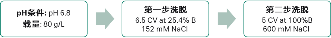 案例解析 | GoSilico助力抗体纯化中的电荷异构体去除医药新闻-ByDrug-一站式医药资源共享中心-医药魔方