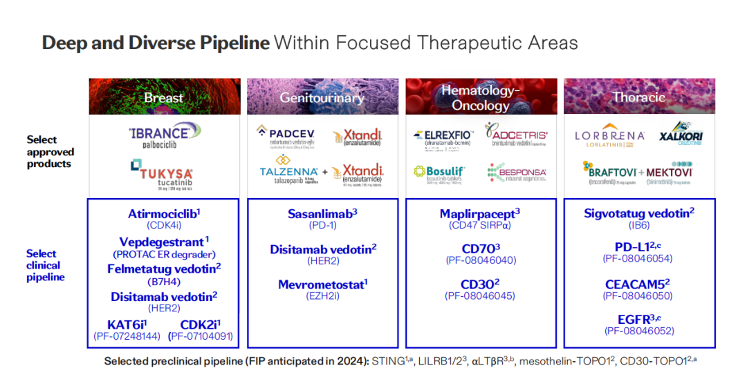 辉瑞：吞掉Seagen后，是如何消化的医药新闻-ByDrug-一站式医药资源共享中心-医药魔方