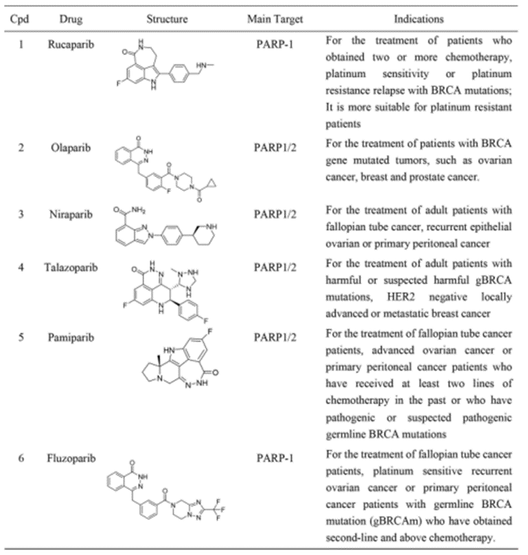 「新锐公司」圣域生物：专注于DNA损伤修复领域，新一代“合成致死”新药SYN818获批临床医药新闻-ByDrug-一站式医药资源共享中心-医药魔方