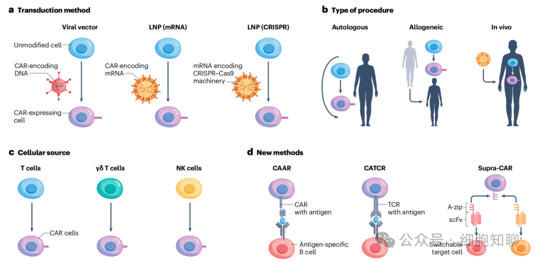 Georg Schett/Fabian Muller/Carl June联合综述|CAR-T细胞治疗自身免疫性疾病的进展和挑战医药新闻 ...
