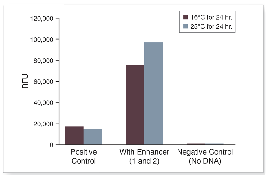 如何快速实现蛋白高产量表达？NEBExpress® 无细胞 E. coli 蛋白合成专家告诉您！医药新闻-ByDrug-一站式医药资源共享中心 ...