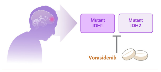 当肿瘤代谢遇见表观遗传调控——IDH突变肿瘤的靶向治疗（一)医药新闻-ByDrug-一站式医药资源共享中心-医药魔方