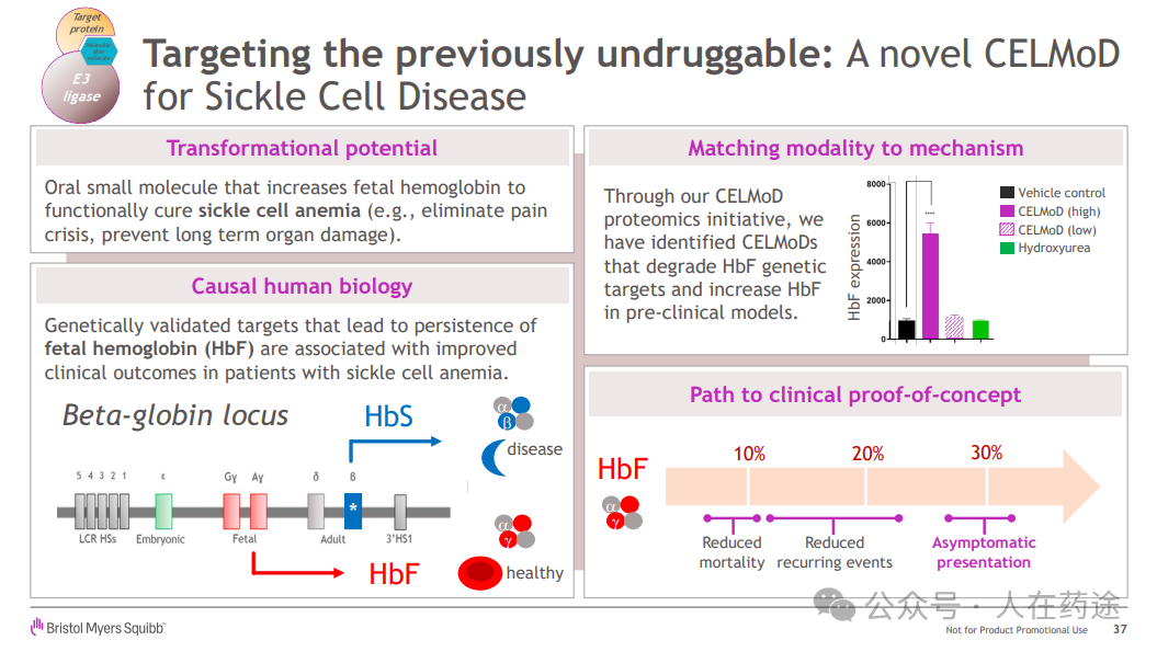 Science重磅！诺华、BMS皆看好的WIZ分子胶医药新闻-ByDrug-一站式医药资源共享中心-医药魔方