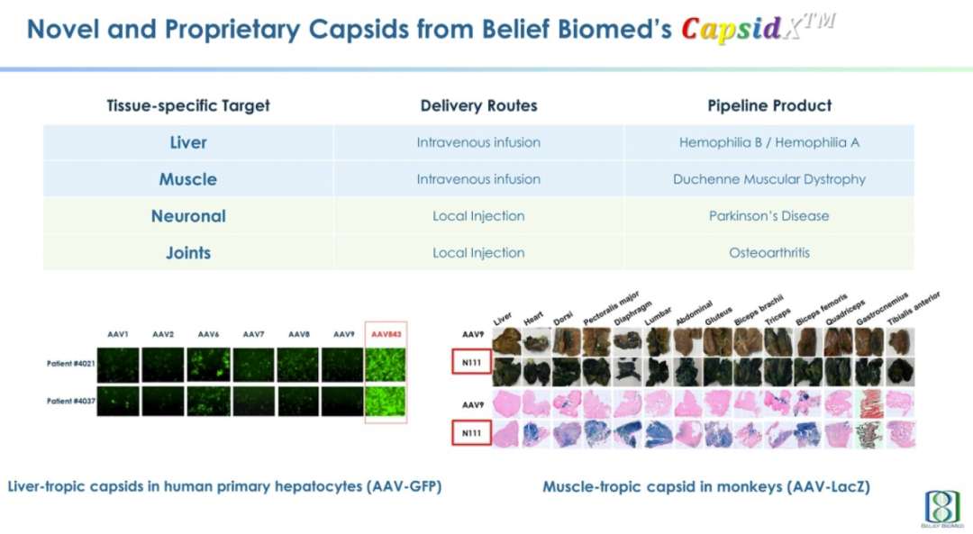 国内首款：信念医药B型血友病AAV基因疗法申报上市医药新闻-ByDrug-一站式医药资源共享中心-医药魔方