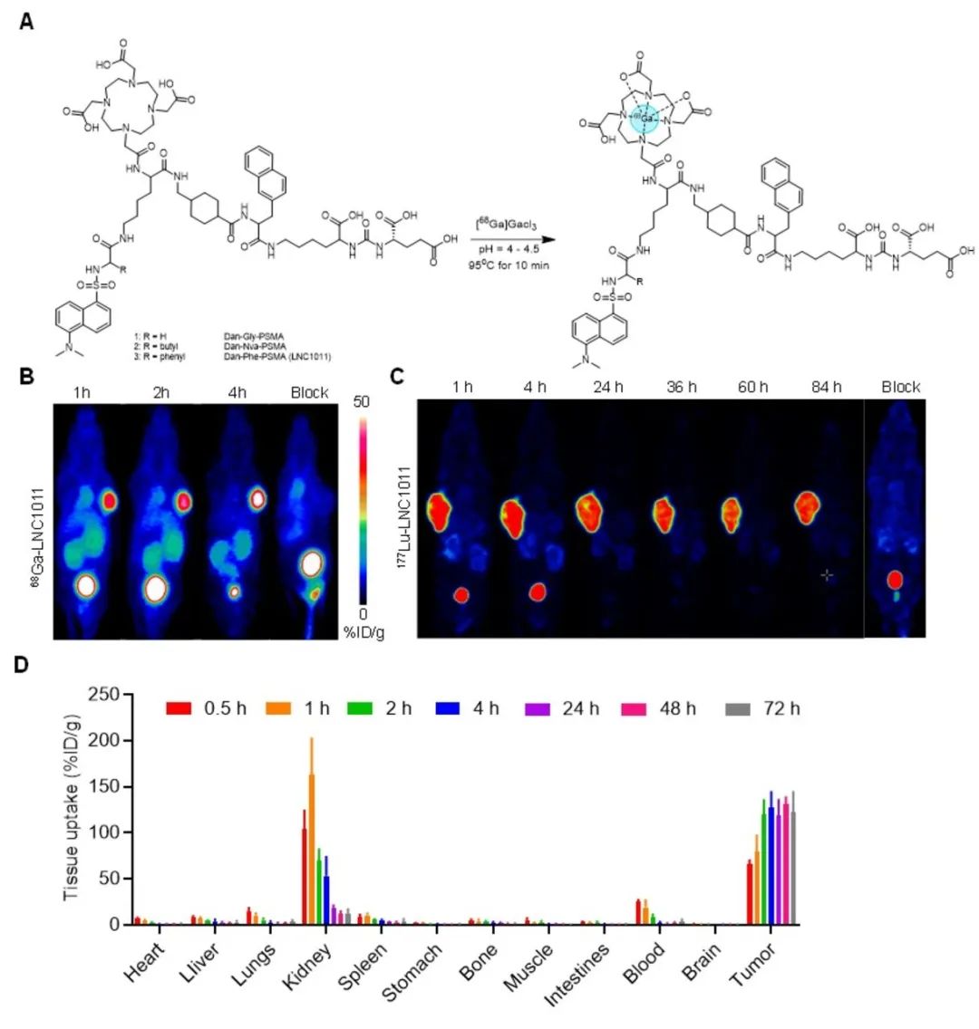 蓝纳成新核药[225Ac]Ac-LNC1011正式亮相！医药新闻-ByDrug-一站式医药资源共享中心-医药魔方