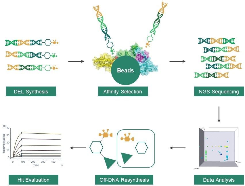 VIVA观点丨大咖对话：新思路，深度剖析DEL技术如何在药物发现中加码？医药新闻-ByDrug-一站式医药资源共享中心-医药魔方