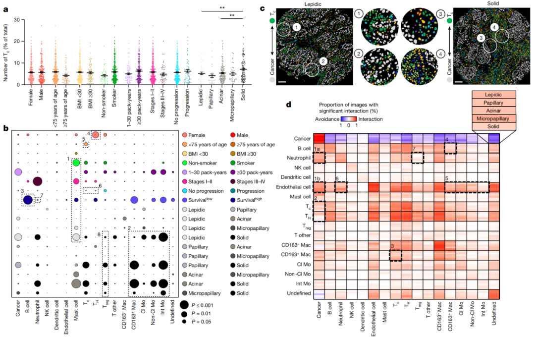 前沿技术 | IMC与机器学习结合精准预测肺腺癌患者临床进展医药新闻-ByDrug-一站式医药资源共享中心-医药魔方