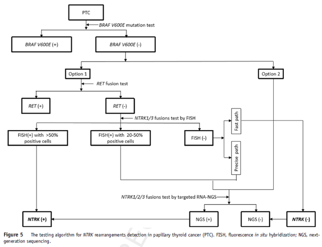 聚焦NTRK基因融合最新研究进展，优化实体肿瘤精准诊疗实践医药新闻-ByDrug-一站式医药资源共享中心-医药魔方