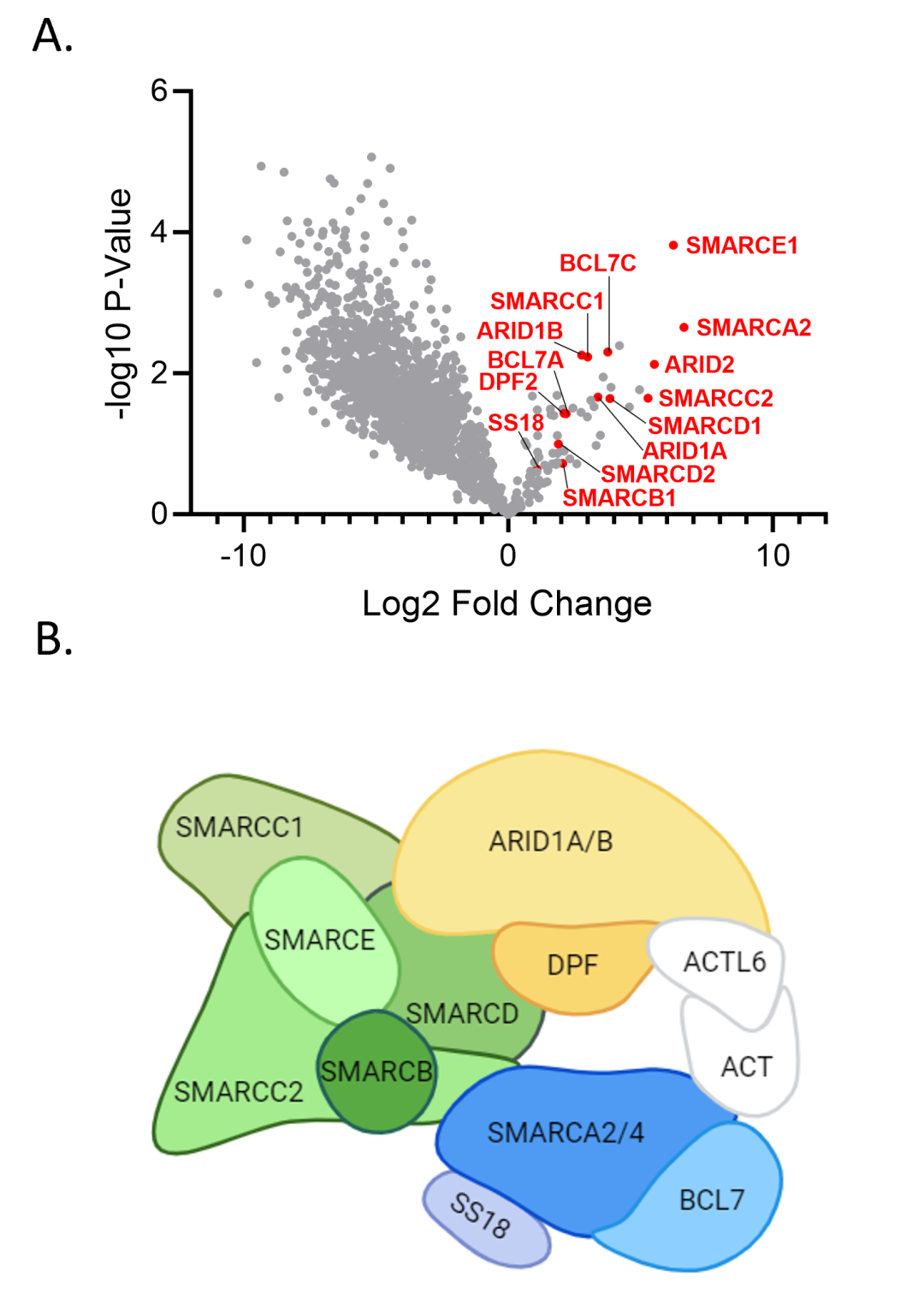 技术文章 | HiBiT标签技术实现内源性蛋白动态全解析：从定位、互作到降解医药新闻-ByDrug-一站式医药资源共享中心-医药魔方