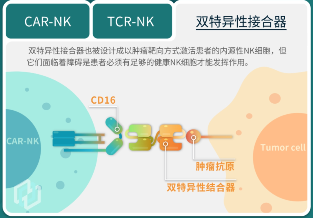 图解NK细胞疗法医药新闻-ByDrug-一站式医药资源共享中心-医药魔方