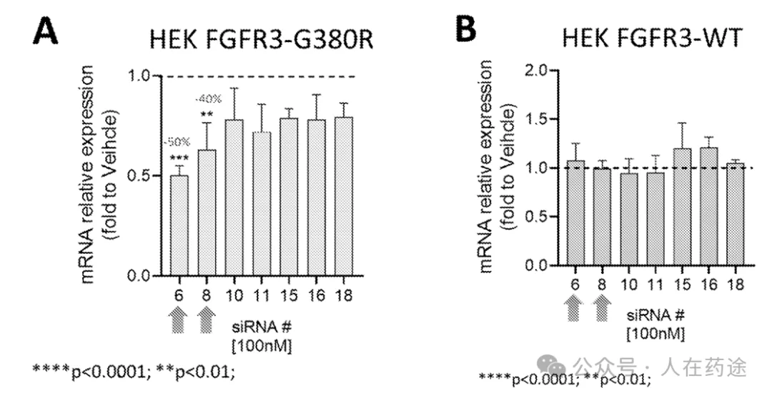 选择性FGFR3抑制剂：冲击下一个蓝海市场医药新闻-ByDrug-一站式医药资源共享中心-医药魔方