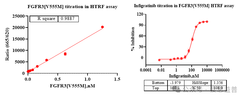 ICE靶标蛋白| FGFR系列蛋白产品医药新闻-ByDrug-一站式医药资源共享中心-医药魔方