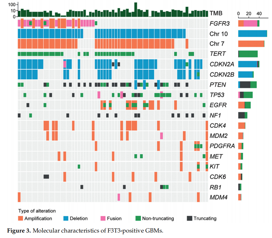 FGFR3::TACC3融合的IDH野生型胶质母细胞瘤，具有独特的临床病理和分子特征医药新闻-ByDrug-一站式医药资源共享中心-医药魔方