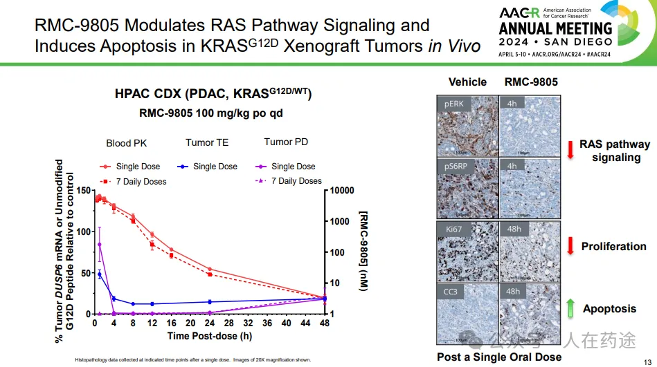 KRAS G12D（ON）抑制剂RMC-9805结构与临床前数据公开医药新闻-ByDrug-一站式医药资源共享中心-医药魔方