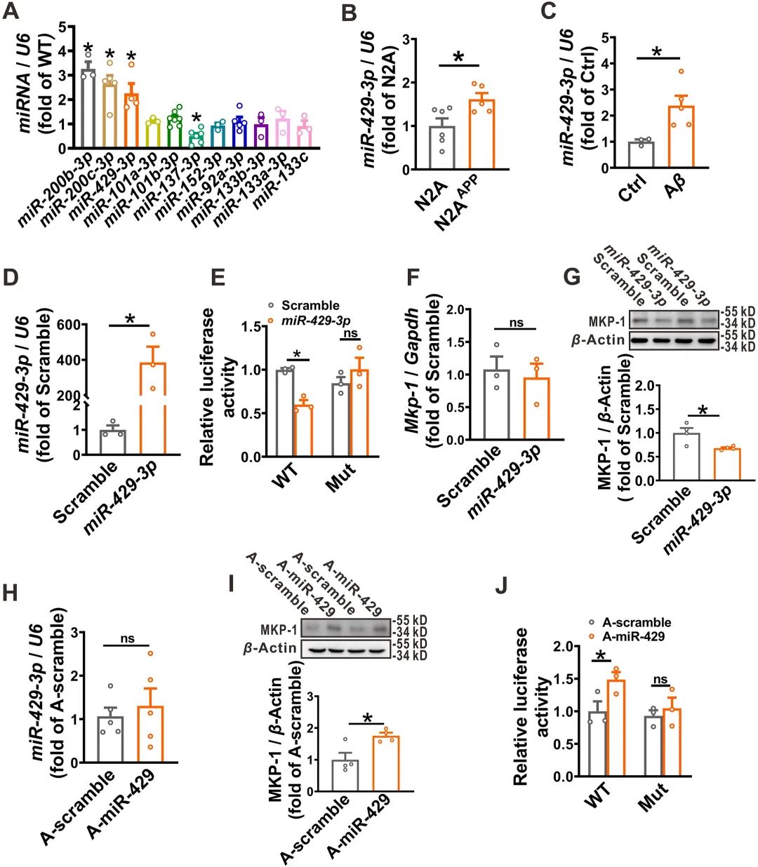 APSB（IF14+）丨抑制miR-429-3p可有效改善AD模型小鼠的认知和突触功能医药新闻-ByDrug-一站式医药资源共享中心-医药魔方