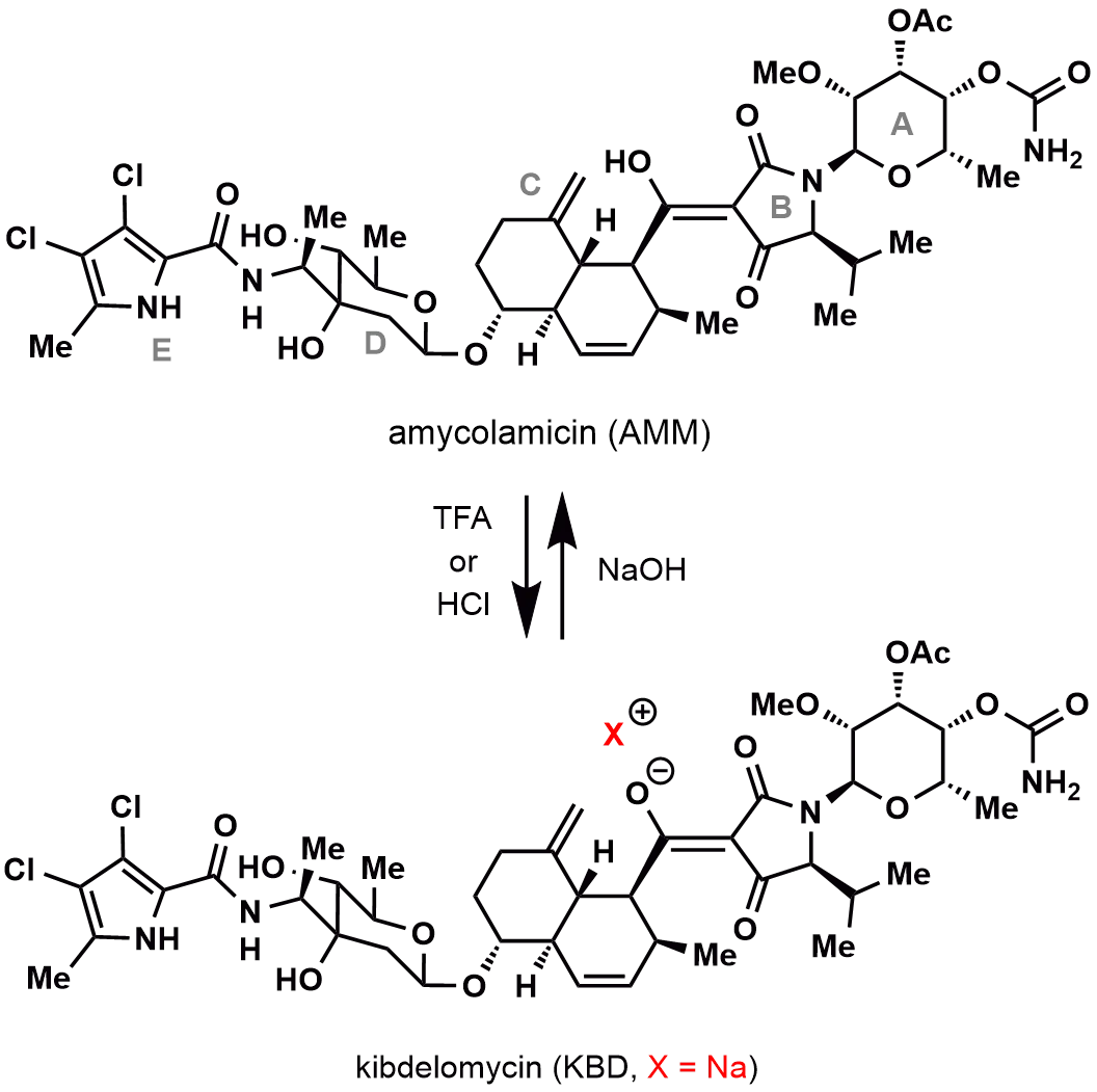 原研创新丨李超实验室利用化学全合成手段揭示天然抗生素amycolamicin/kibdelomycin的构效关系医药新闻-ByDrug-一站式 ...